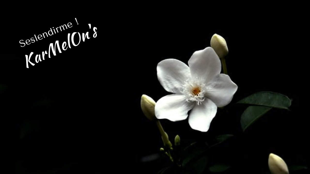 İyi Değilim | Yaman Karaca Şiiri | Seslendirme - Melon Saatler